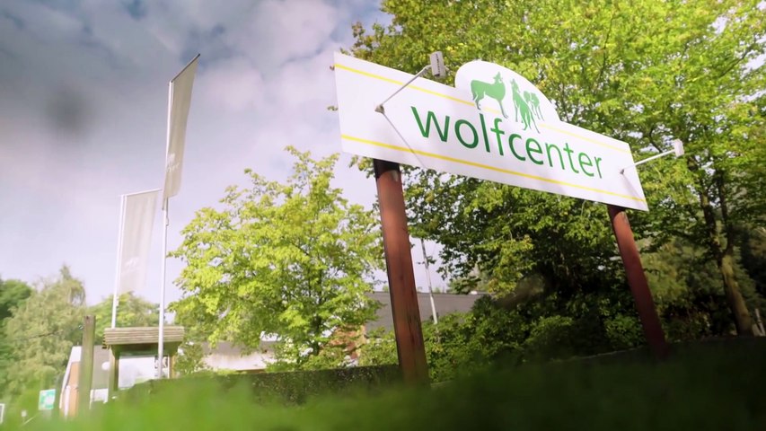 Vídeos de Multipro - Dailymotion