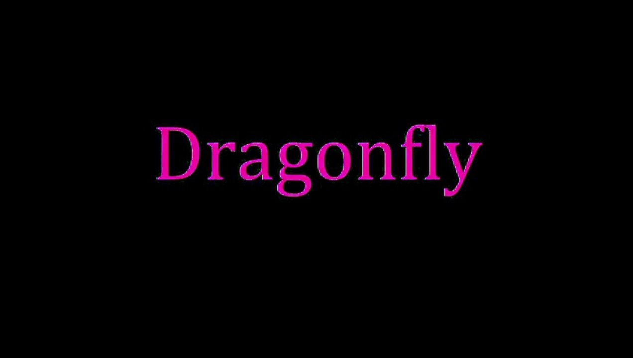 Dragonfly Trailer OV - video Dailymotion