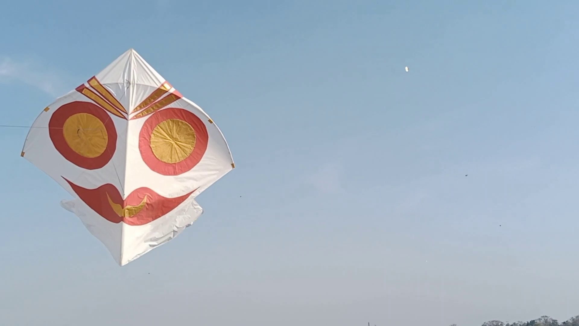 Pakistani Kites Flying