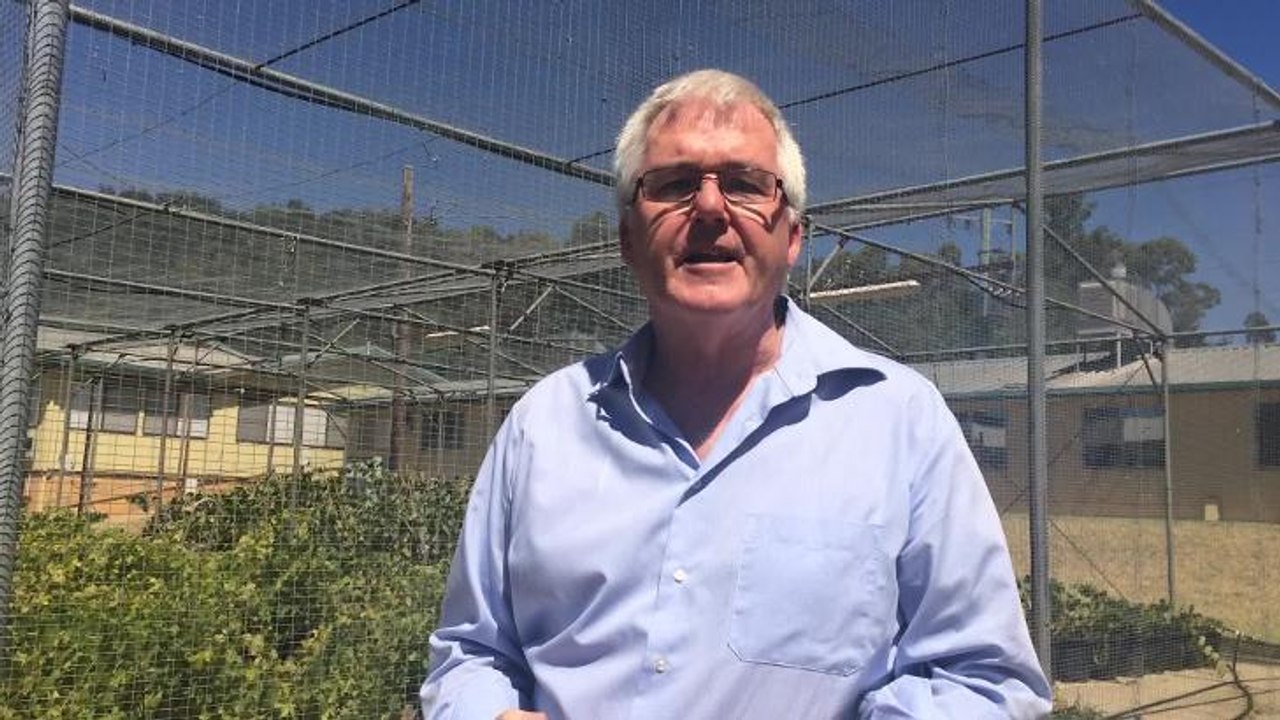 Tim Wess on CSU wines - video Dailymotion