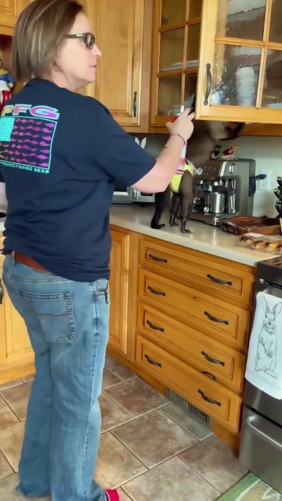 How my visits going!! Gaitlyn Rae - video Dailymotion