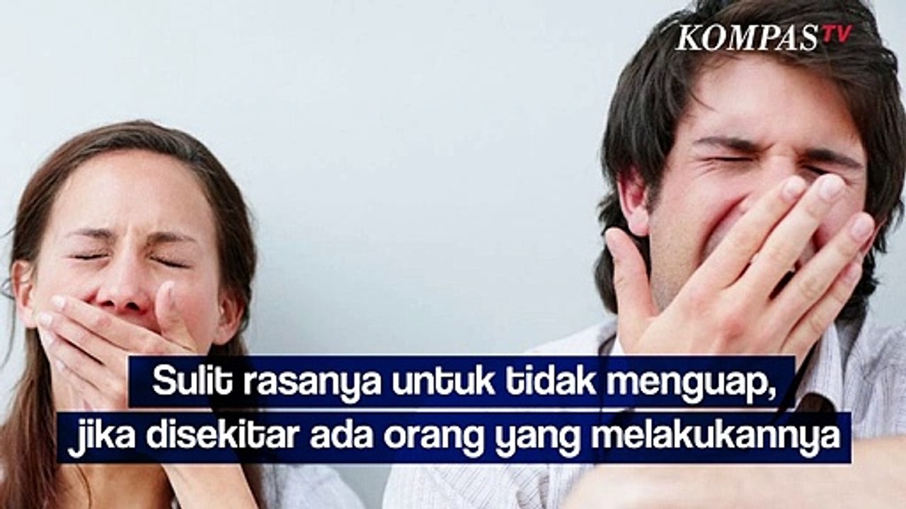 Kenapa Menguap Menular? Ternyata Gara-gara Ini - Video Dailymotion