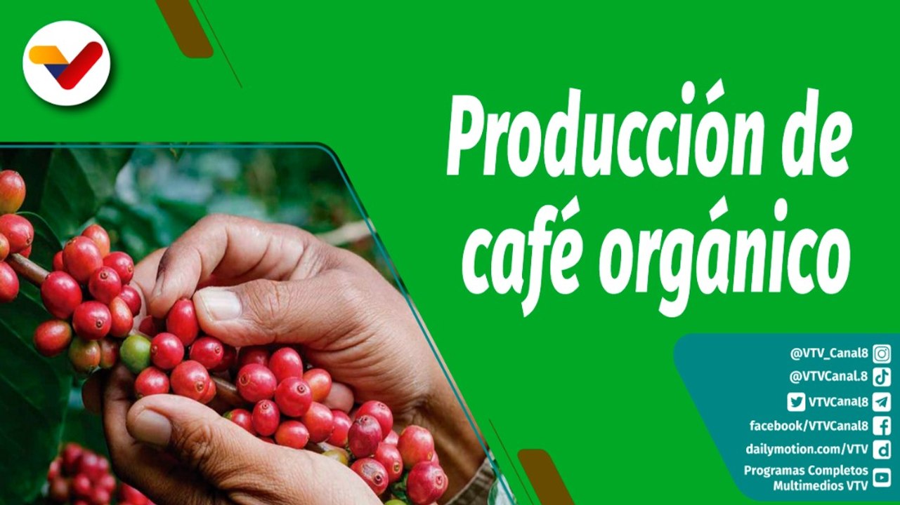 Cultivando Patria | Unidad Productiva "Los Adrianes" cuenta con 1.200 ...