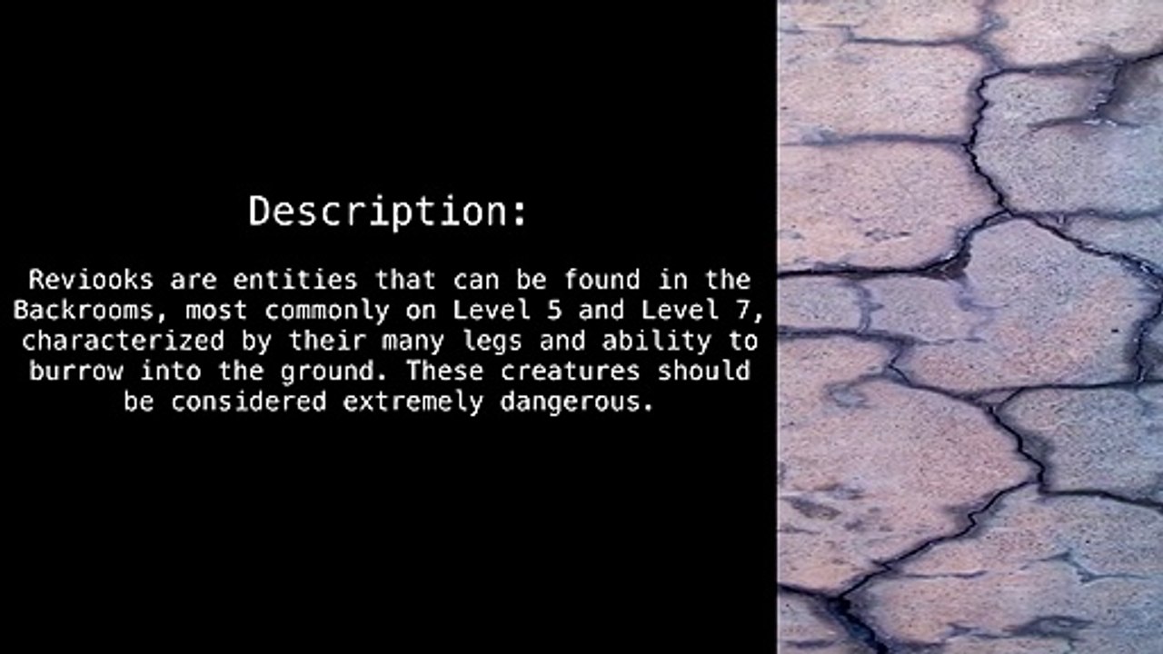 Entity 14 "Reviooks" [The Backrooms] - video Dailymotion