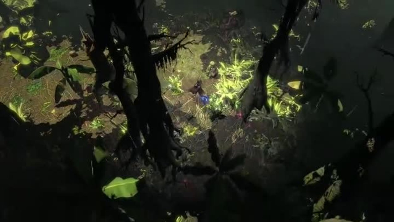 PoE Graphics Improvements - Vidéo Dailymotion