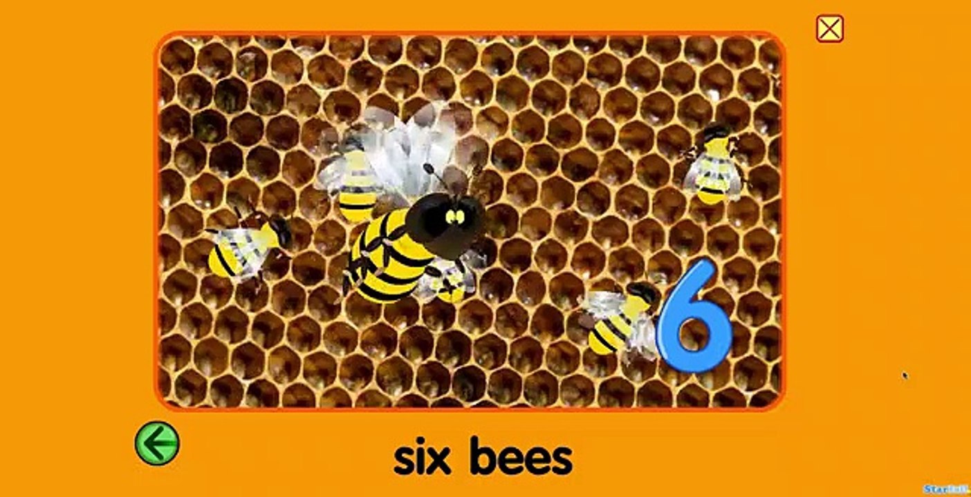 Starfall Numbers - Best Kids Shows - Kids Video 006 - video Dailymotion