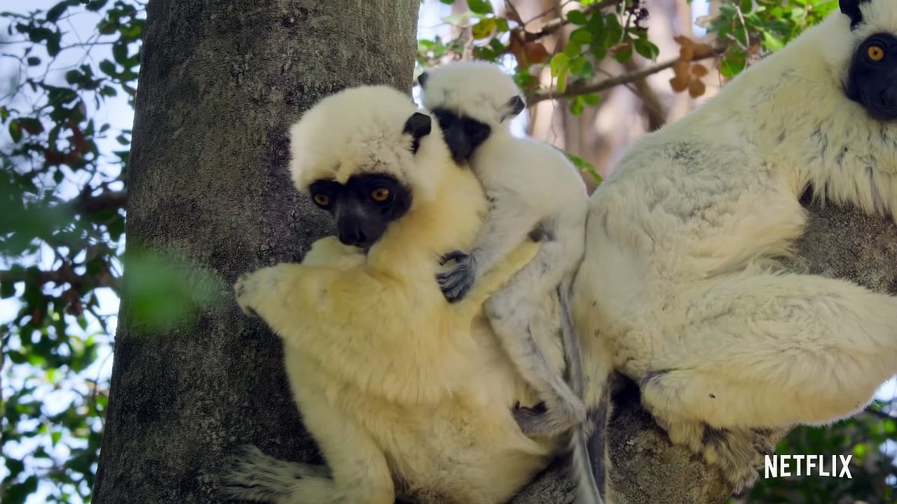 Our Great National Parks Trailer - Barack Obama - video Dailymotion