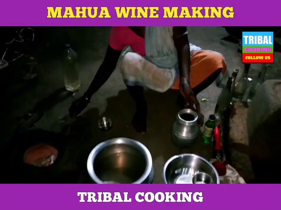 Mahua Wine Making - Tribal Cooking - video Dailymotion