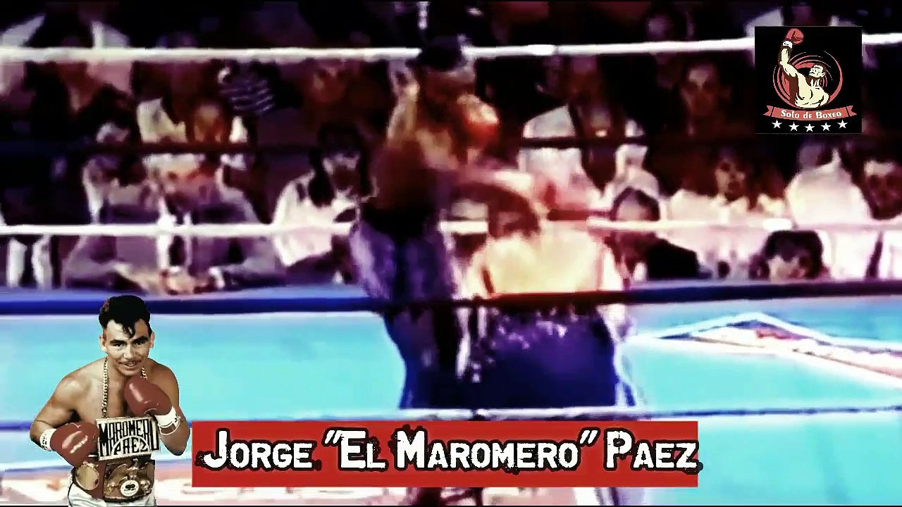 (02) AMAZING DEFENSE SYTLE JORGE EL MAROMERO PAEZ [parte2] - Vídeo ...