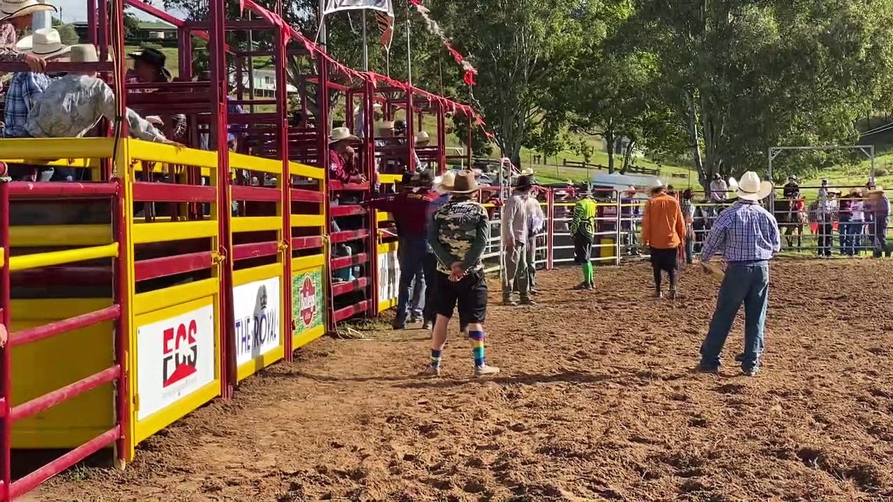 Bailey George of Singleton competes in the mini bull ride at the Dungog ...