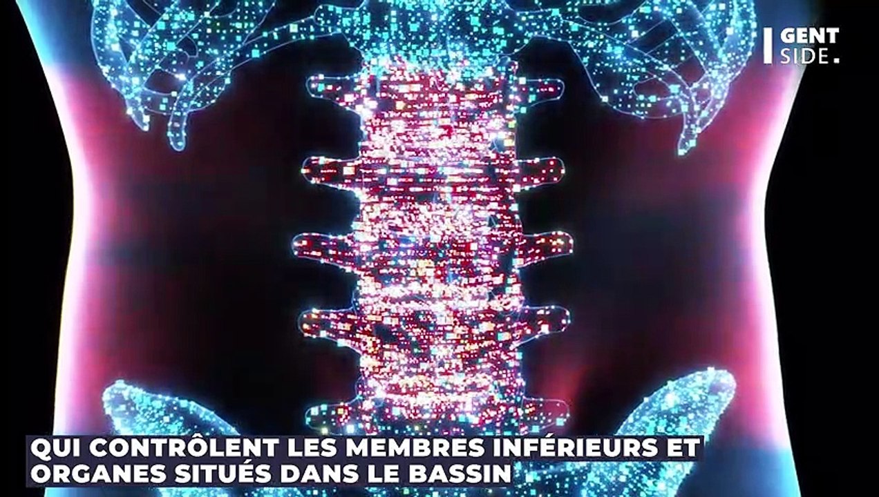 Syndrome de la queue de cheval : symptômes, séquelles, traitement ...