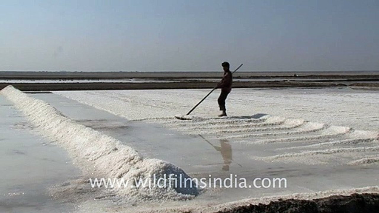 The land made of salt - Kutch in Gujarat - video Dailymotion