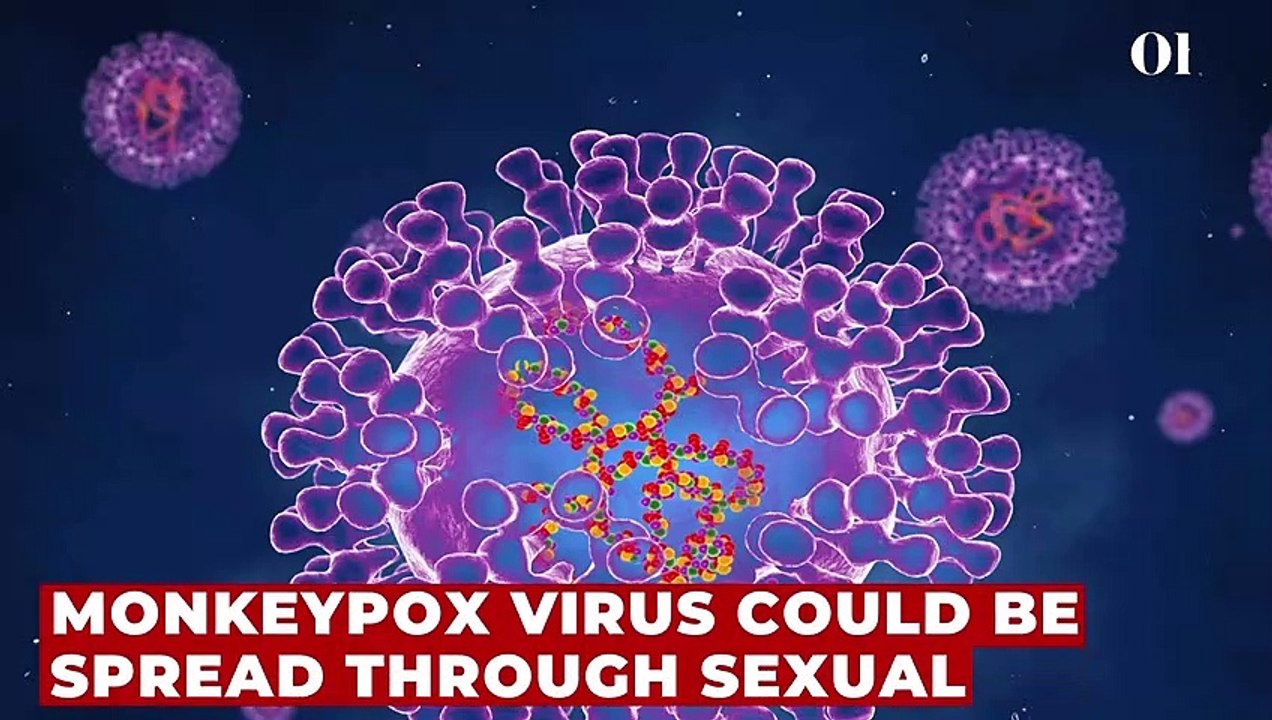 Monkeypox: Experts suspect the disease could be sexually transmissible - video Dailymotion