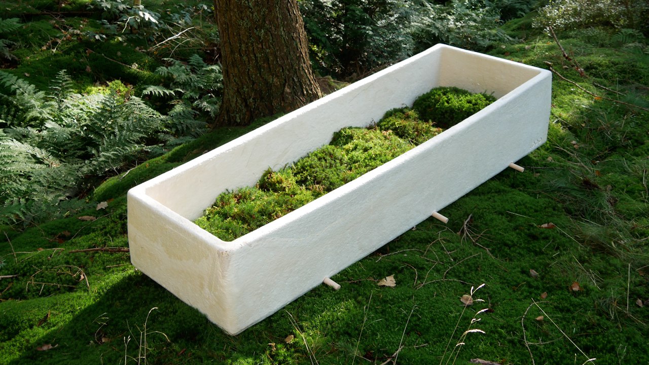 “Living Coffin” Made From Mushrooms Enriches Life After Death - video ...