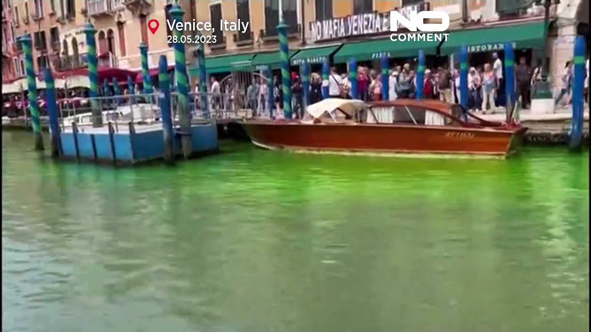 Watch: Venice's Grand Canal turns phosphorescent green