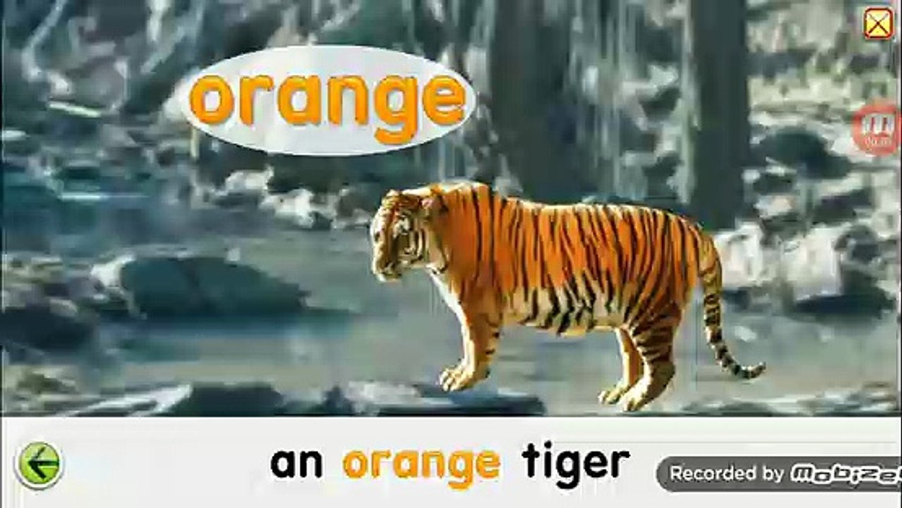 Starfall Colors_ Orange.mp4 - video Dailymotion