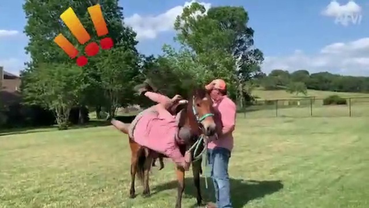 Greatest Outdoor FAILS - Big Adventure - video Dailymotion