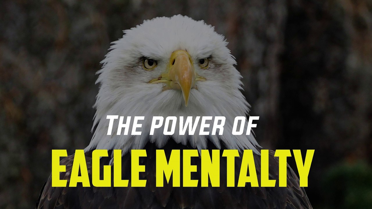 The Power Of Eagle Mindset - Shafiq Motivation - video Dailymotion