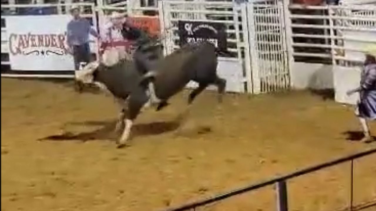 Enraged Bull throws the rider off its back *Bull riding Rodeo Fail* - video Dailymotion