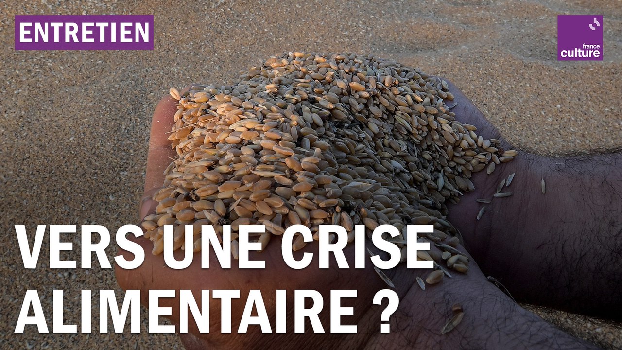 L'Europe face à une crise alimentaire ? - Vidéo Dailymotion