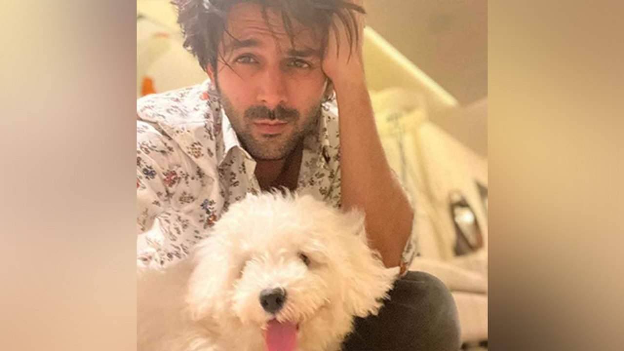 Kartik Aryan Pet Dog Name Katori क्यों रखा, Funny Reason Reveal ...