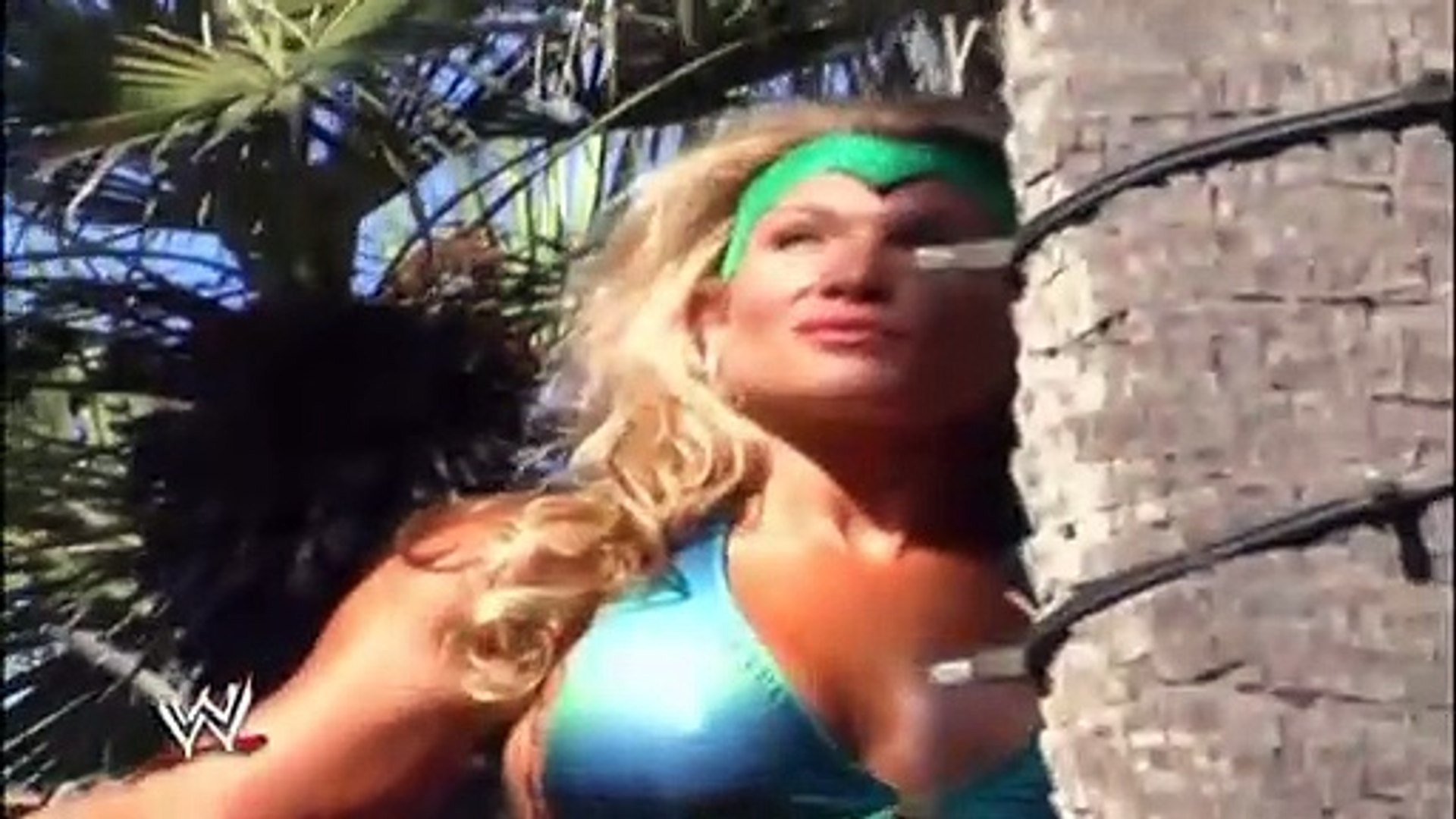 Wwe Summer Skin Natalya