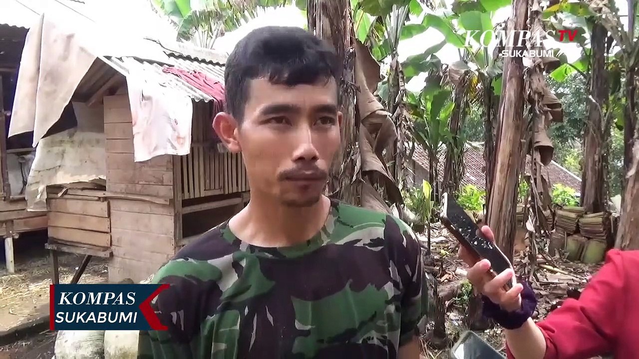 Cegah PMK 300 Sapi Disuntik Vaksin - Video Dailymotion