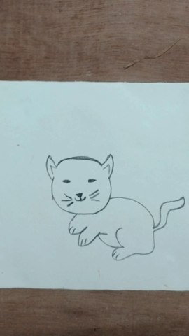 How To Draw A Real Baby Cat