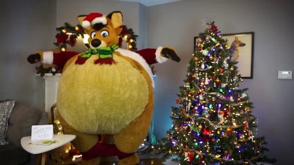 Oz Kangaroo videos - Dailymotion