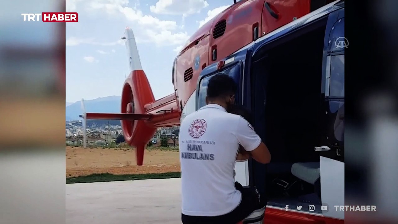 Akrep sokan bebek hızlı müdahaleyle kurtuldu - Dailymotion Video