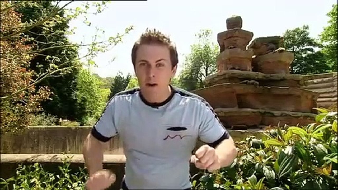 Boogie Beebies Hey Monkey Cbeebies - video Dailymotion