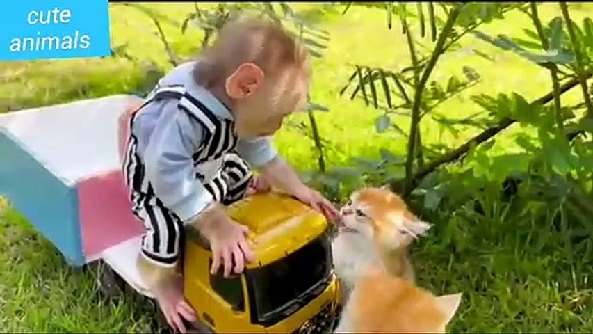 Cute animals videos - Dailymotion