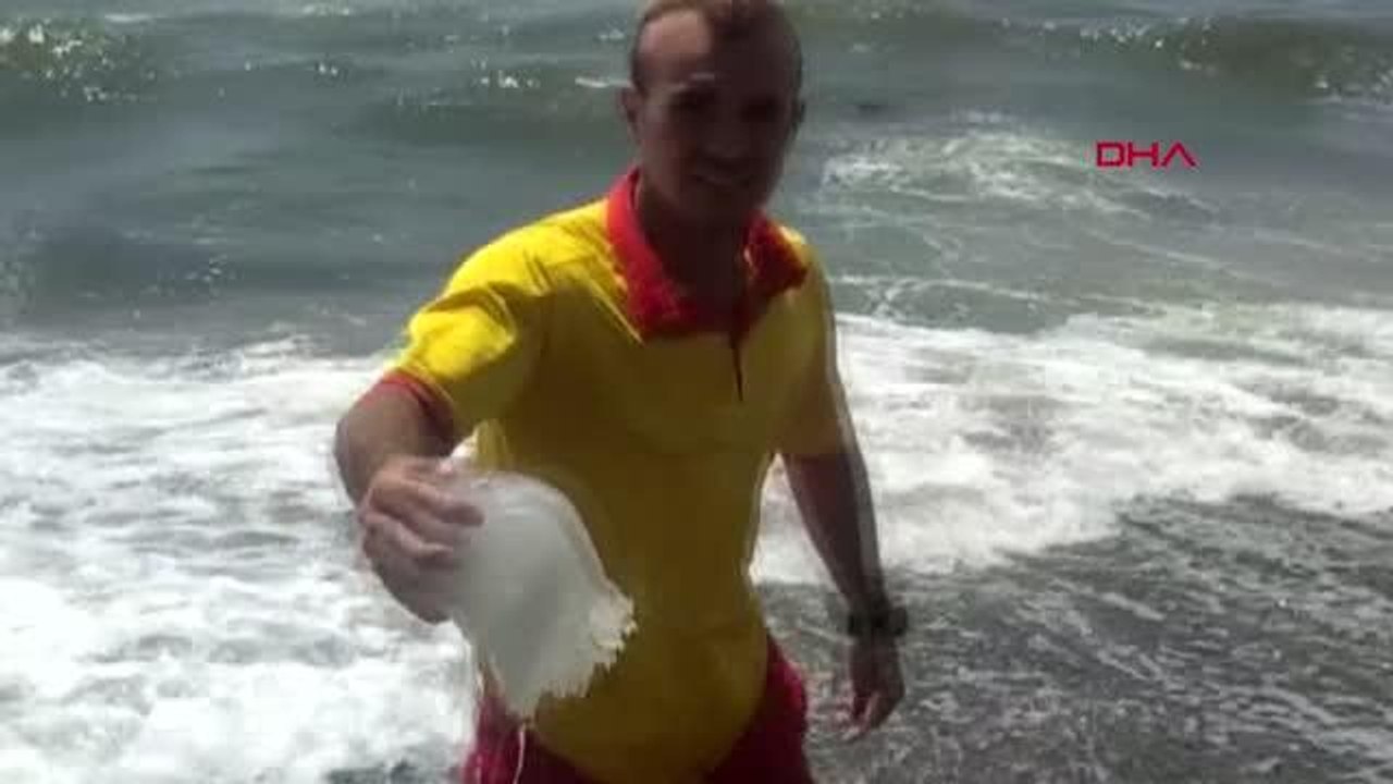 CANKURTARANLARDAN, DENİZANASI, BALON VE ZAMBUR BALIĞI TEHLİKESİNE KARŞI ...