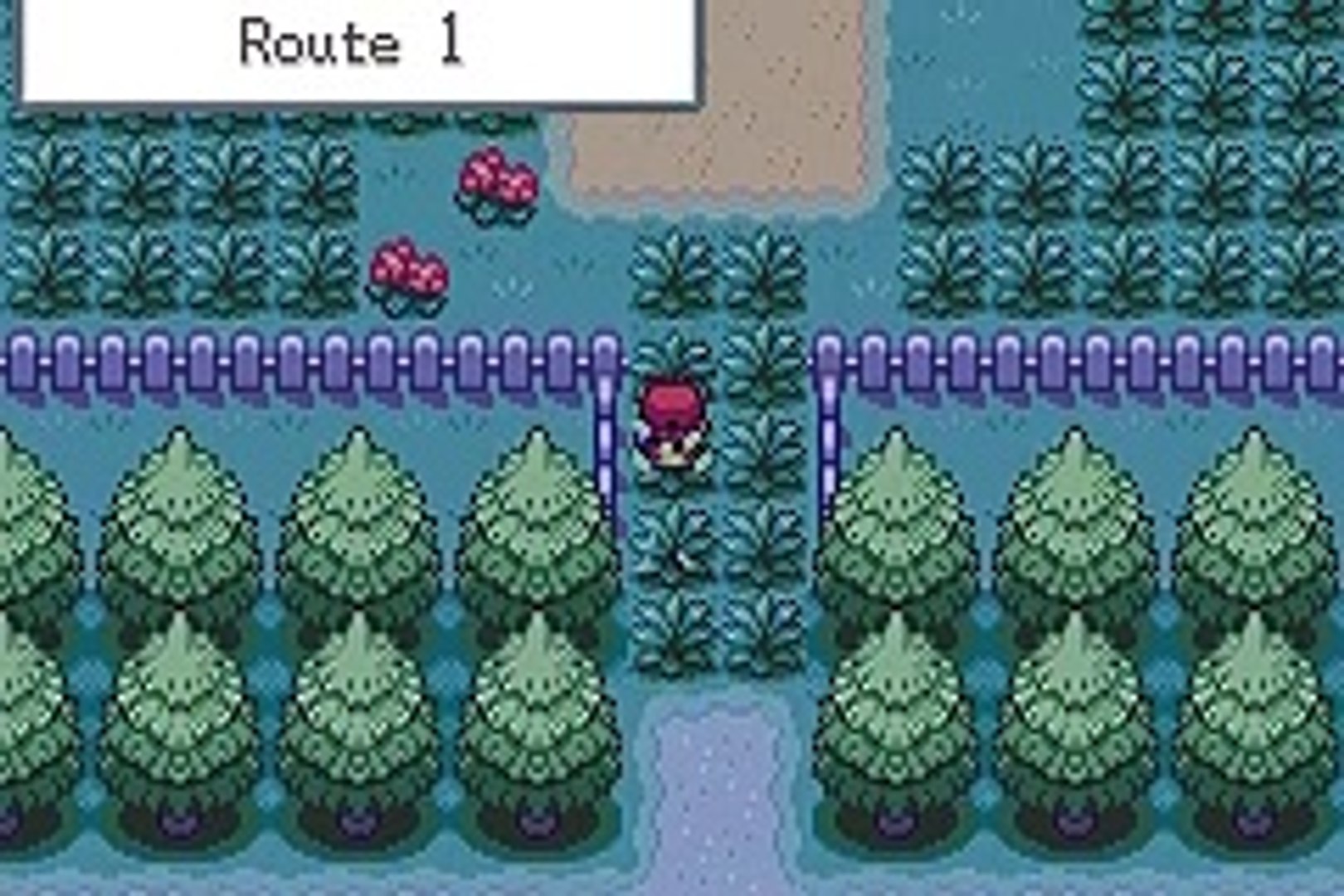 Where Do You Find The Legendary Dogs In Fire Red