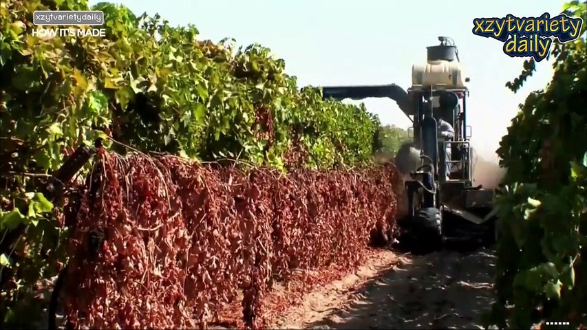 วิดีโอ XZYT VARIETY DAILY - Dailymotion