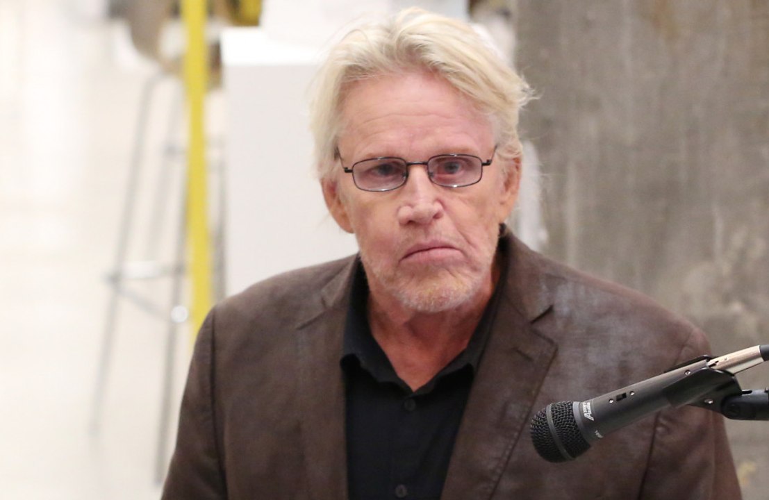 Actor Gary Busey seen with trousers round ankles at park as he ‘may ...