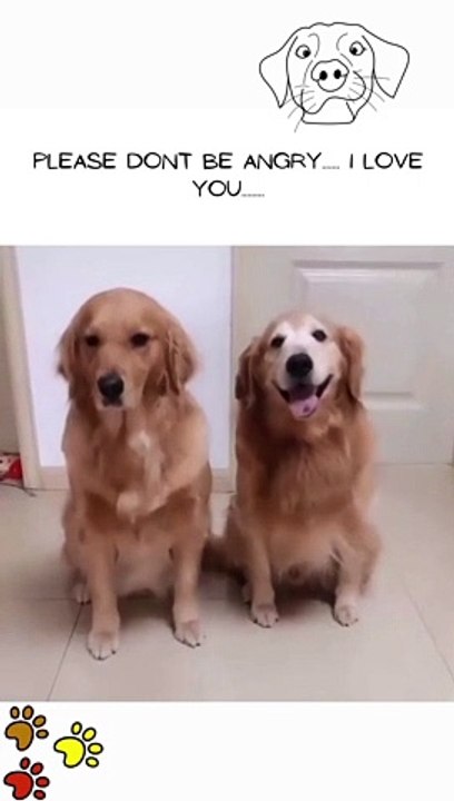 PLEASE DONT BE ANGRY....... I LOVE YOU......... - video Dailymotion