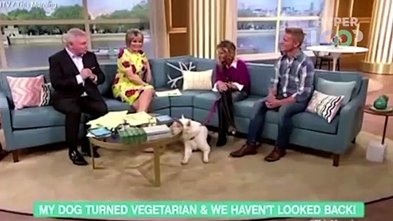 20 INAPPROPRIATE MOMENTS SHOWN ON LIVE TV (2) - video Dailymotion