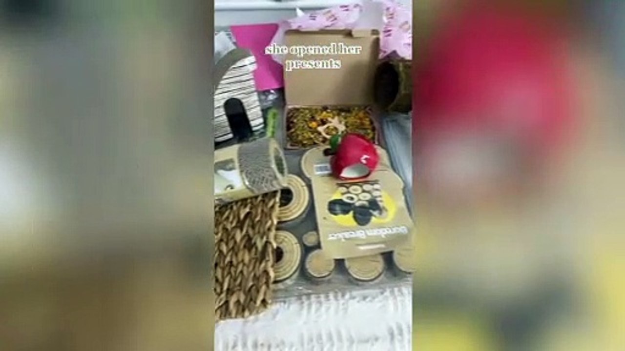 Tik Tok hamster Coco Chanel has life-saving surgery in Birmingham ...