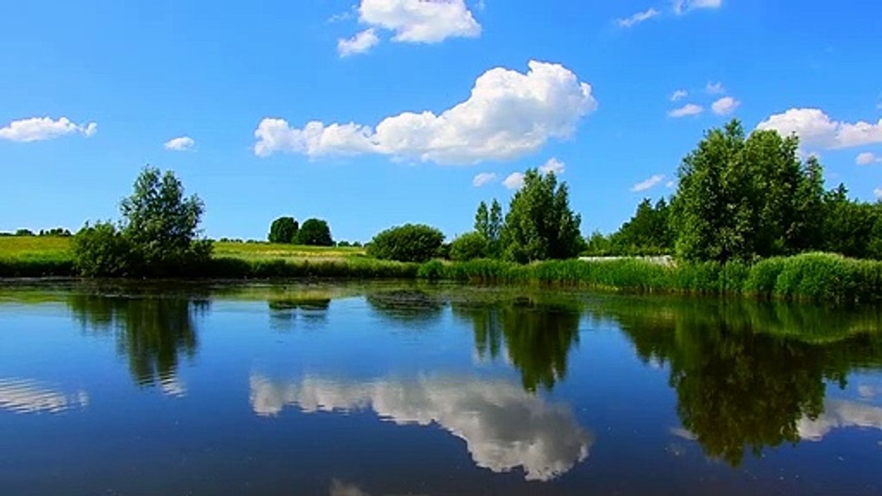 BEST NUTURE SEEN - video Dailymotion