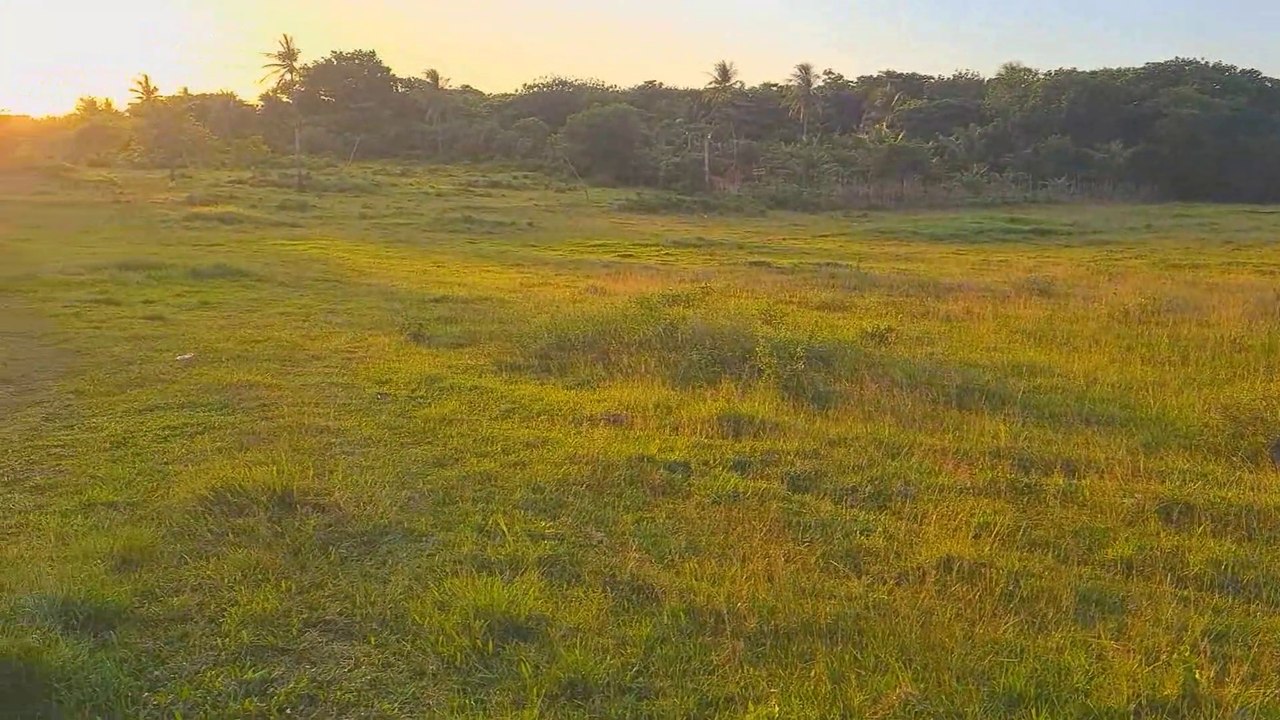 Meadow Sunset - Pamintan, Siruma, Camarines Sur, Philippines - video ...