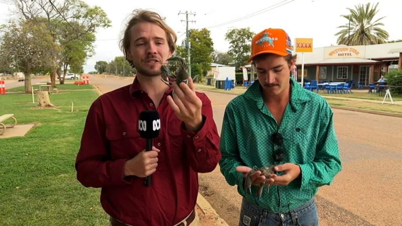 Hundreds gather in the Qld outback for yabby racing - video Dailymotion