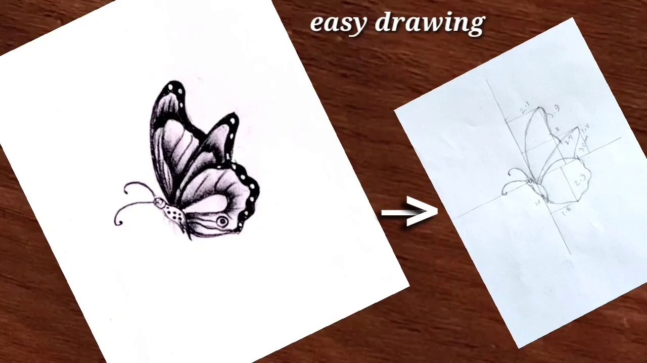 How to draw a beautiful butterfly step by step very easy, butterfly ...
