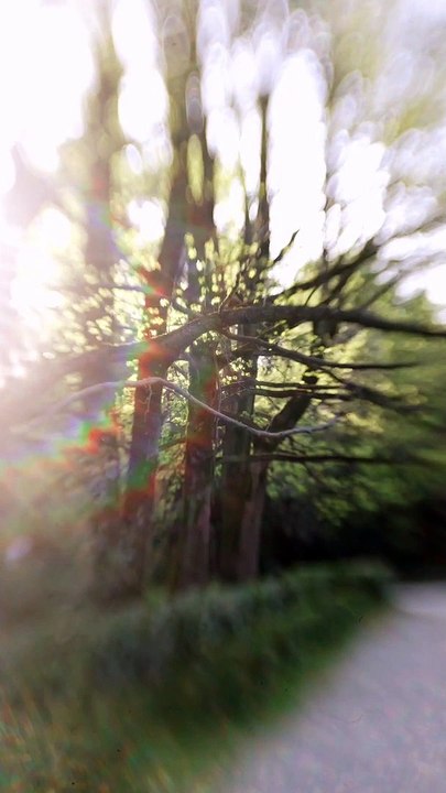 No second Troy by W.B. Yeats - video Dailymotion