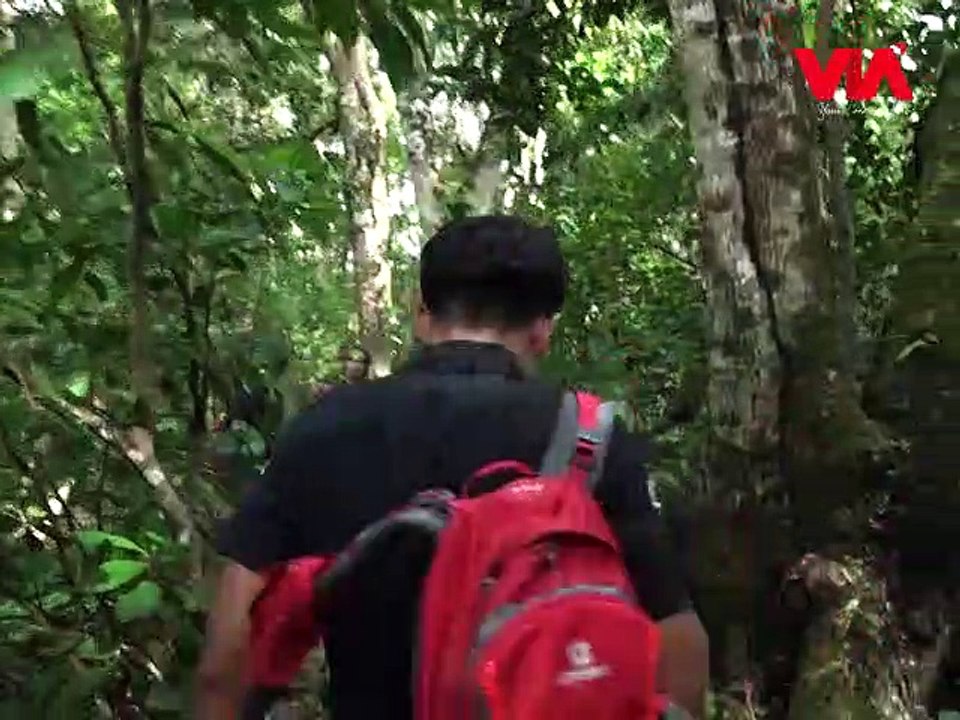 Kerang Bertuah Pulau Kosong Ujung Kulon 1 - video Dailymotion