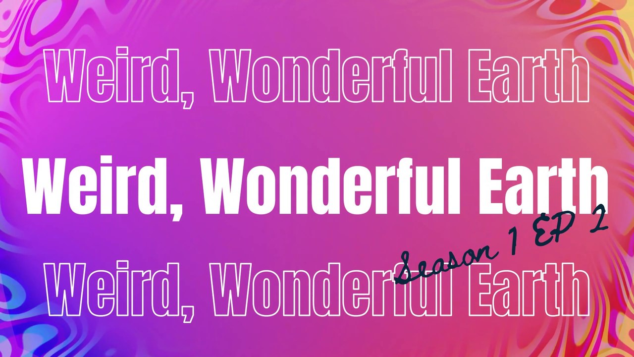EP 02 Weird Wonderful World - video Dailymotion