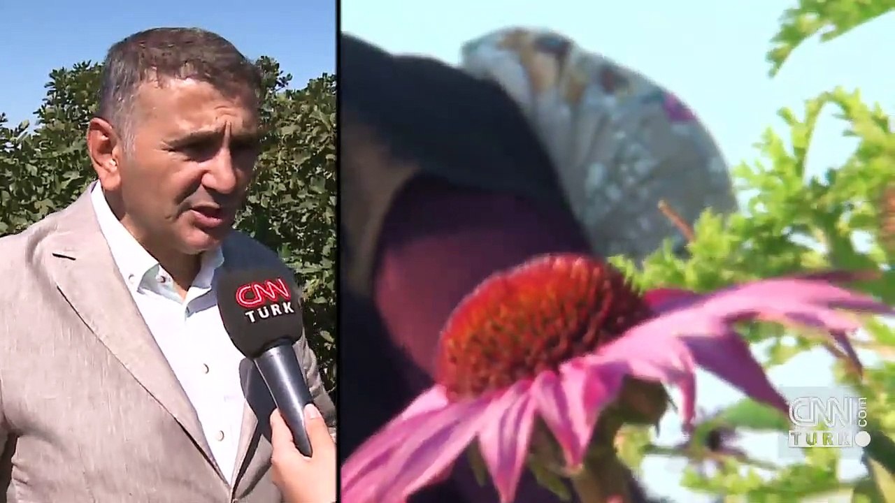 Kent tarım modeli işleve geçiyor - Dailymotion Video