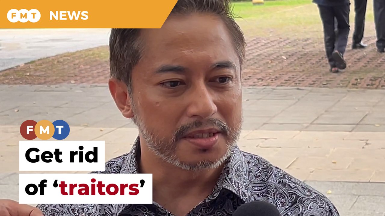 No PM can survive without Umno grassroots support, says Isham - video Dailymotion