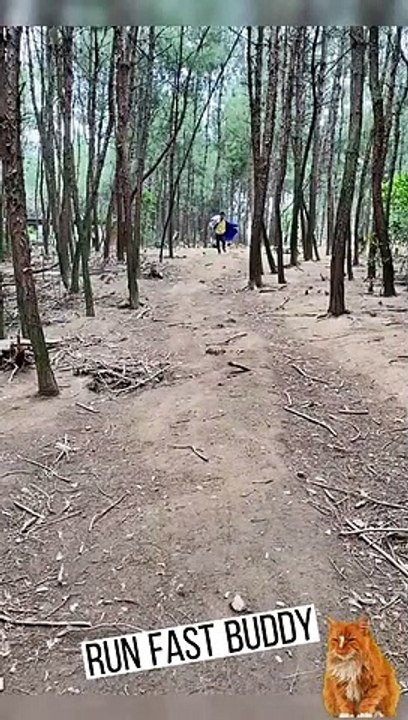 Run Buddy Run - video Dailymotion