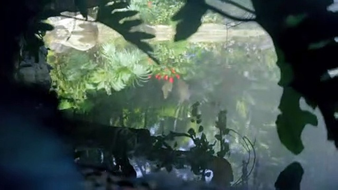 Katy Perry - Roar: Queen of the Jungle (Music Video Trailer) - Vídeo ...
